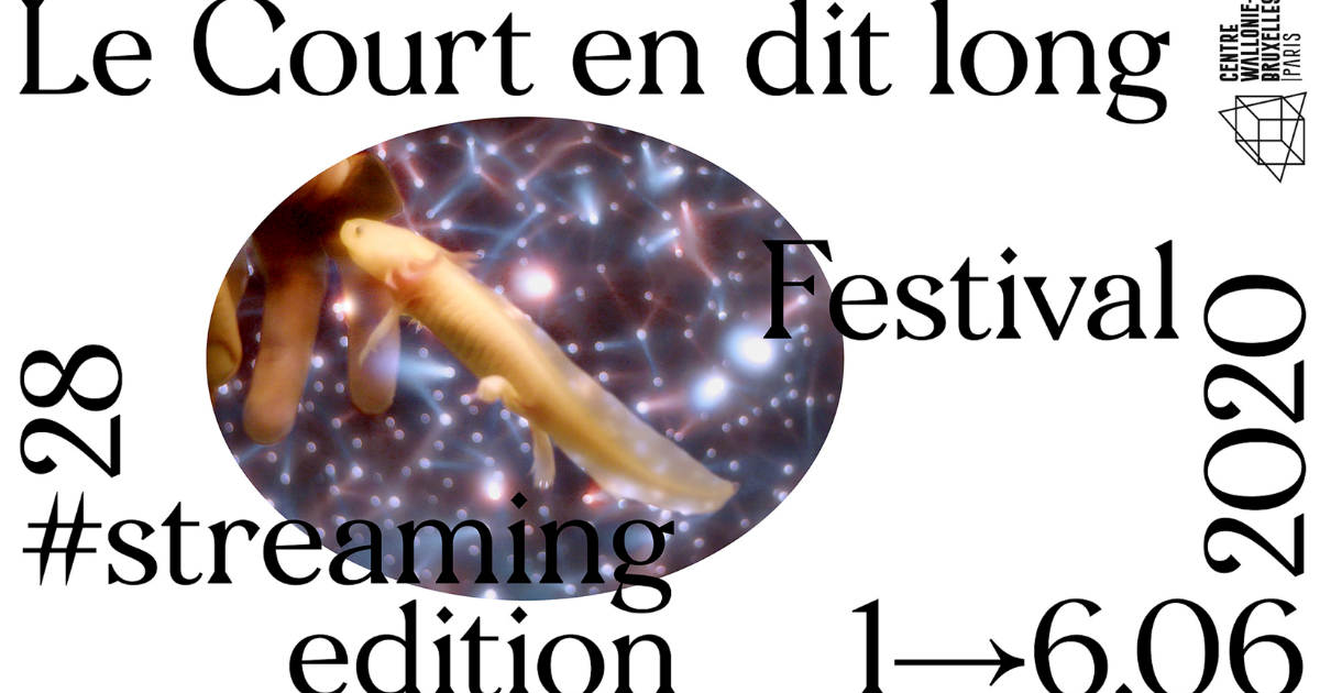 Le Court en dit long - Format Court